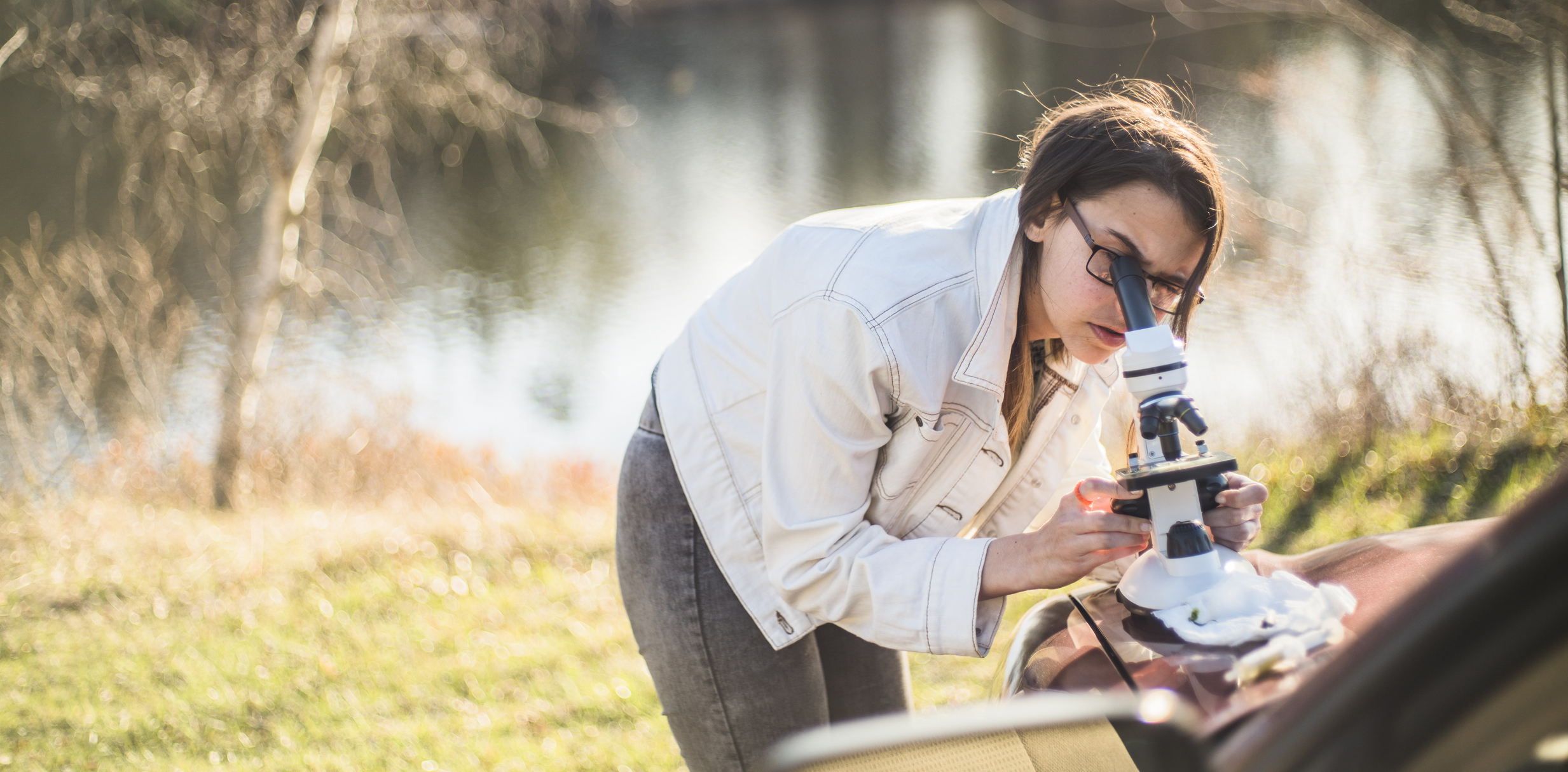 Online Environmental Science Degree Programs - The Best